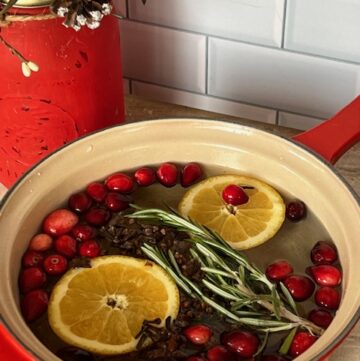 Make a Holiday Simmer Pot - Crunchy BoyMom
